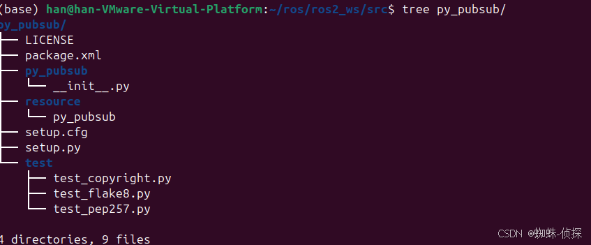 ROS2 - Python工程创建和工程解析_ros2 python-CSDN博客