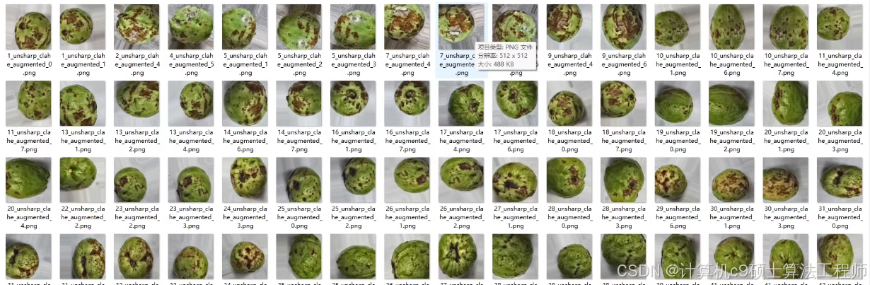 如何训练使用——番石榴病虫害检测数据集 使用这个预处理过番石榴图像数据集进行yolov8模型的训练，使用python和ultralytics库来实现 Csdn博客