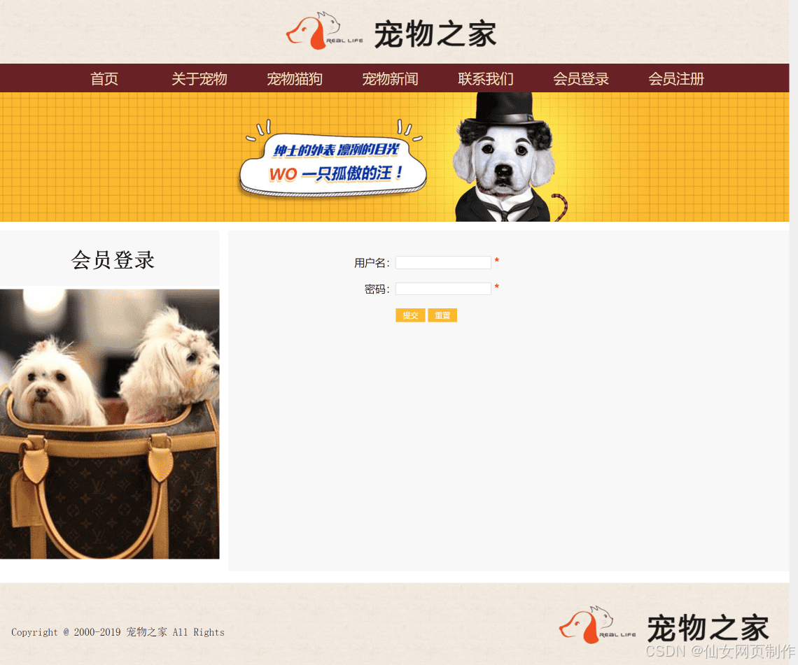 13. 大学生HTML期末大作业 ―【可爱的宠物网页】 Web前端网页制作 html+css+js-CSDN博客