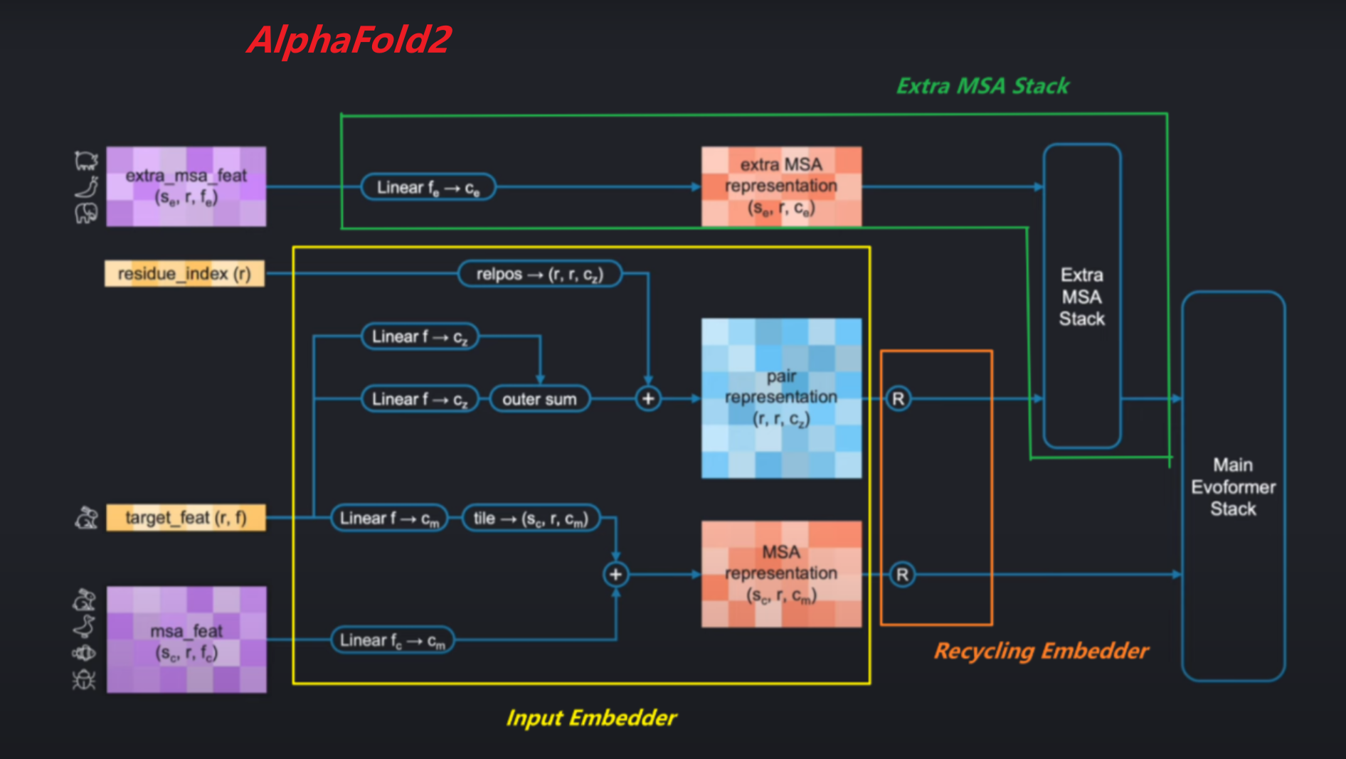 【AlphaFold3】网络架构篇（4）|MSA Module_alphafold3的msa-CSDN博客