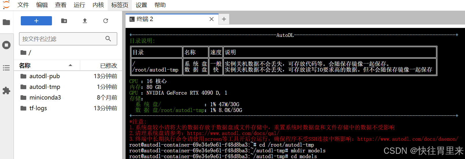 10分钟部署一个模型：云服务器部署ChatGLM3-6b以及微调-CSDN博客