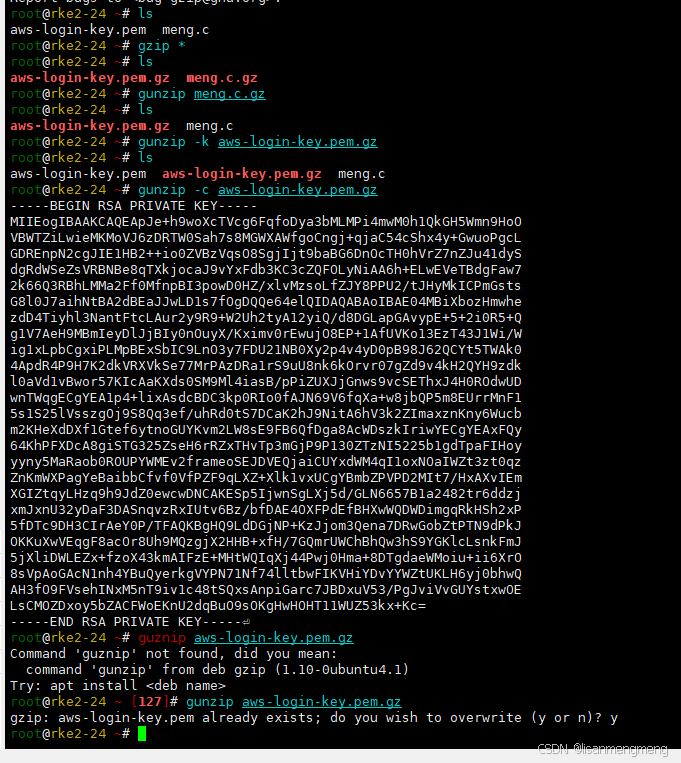 gunzip 命令介绍和使用案例_gunzip解压命令的格式-CSDN博客