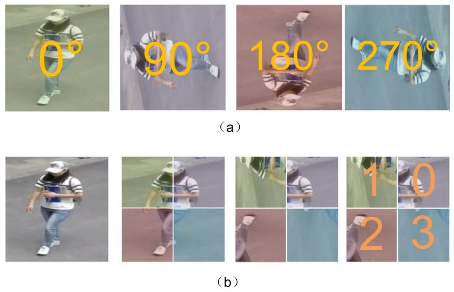 Video Anomaly Detection via self-supervised and spatio-temporal proxy tasks learning_sparse ...