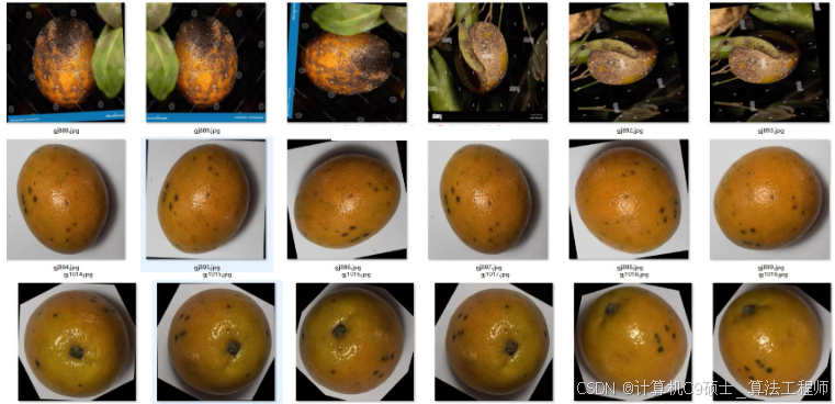 Yolov8训练使用柑橘叶片病虫害数据集权重来识别蓟马橘叶片病虫害检测 使用flask或fastapi等框架构建一个基于yolov8的柑橘叶片病虫害检测系统柑橘病虫害数据集 Csdn博客