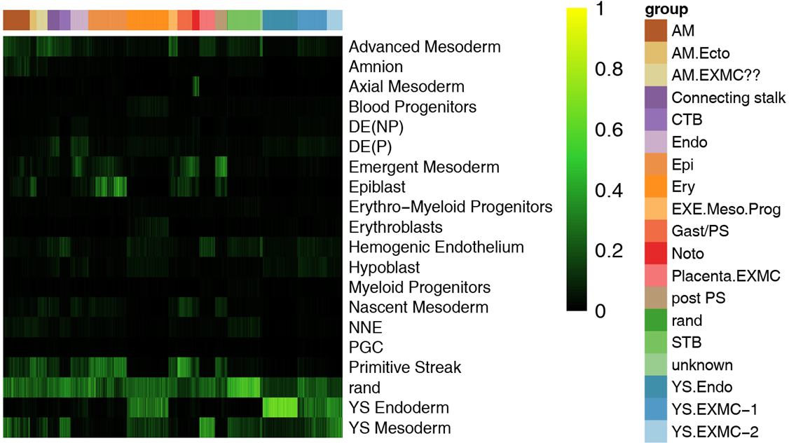 基于 SingleCellNet 的单细胞类型预测实战指南-CSDN博客