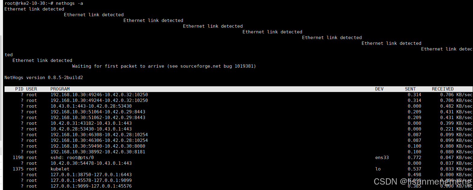 nethogs 命令介绍和使用案例_nethogs命令-CSDN博客