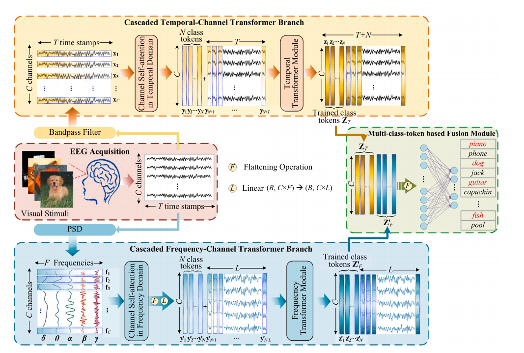 Joint temporal-frequency-channel attention learning for EEG-based visual object classification ...
