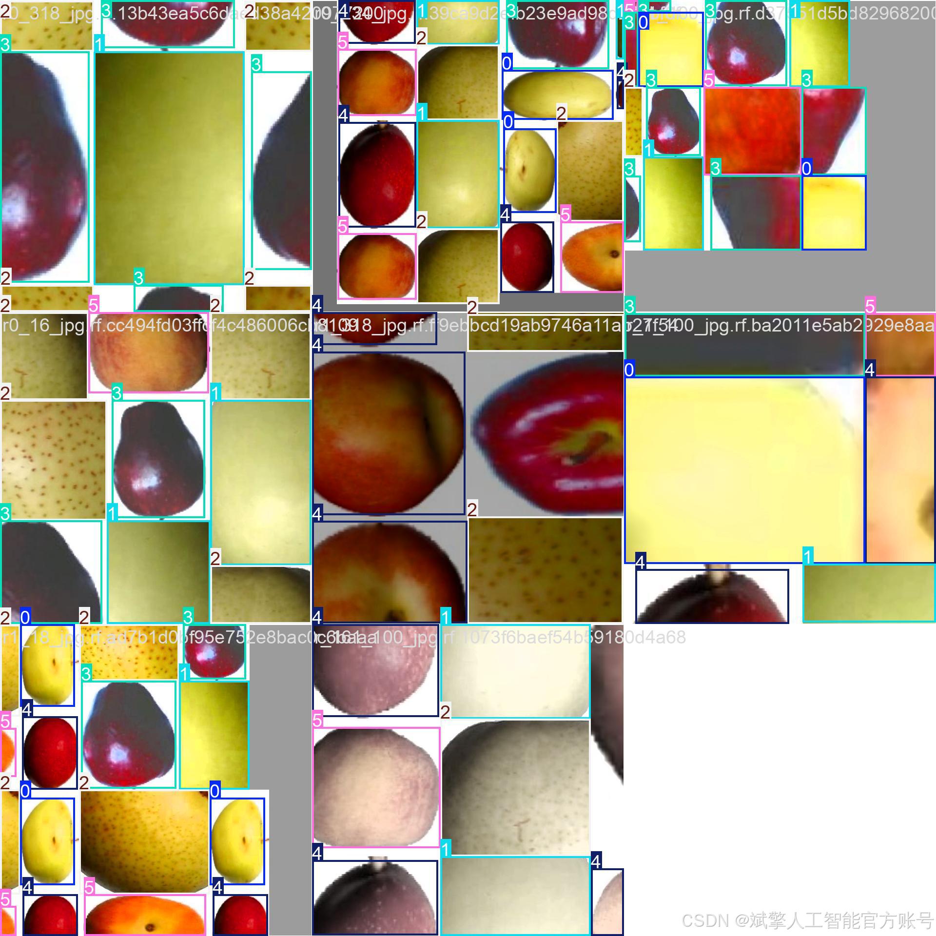 基于深度学习YOLOv11的水果分类识别检测系统（YOLOv11+YOLO数据集+UI界面+登录注册界面+Python项目源码+模型）_基于深度学习的水果分类系统-CSDN博客