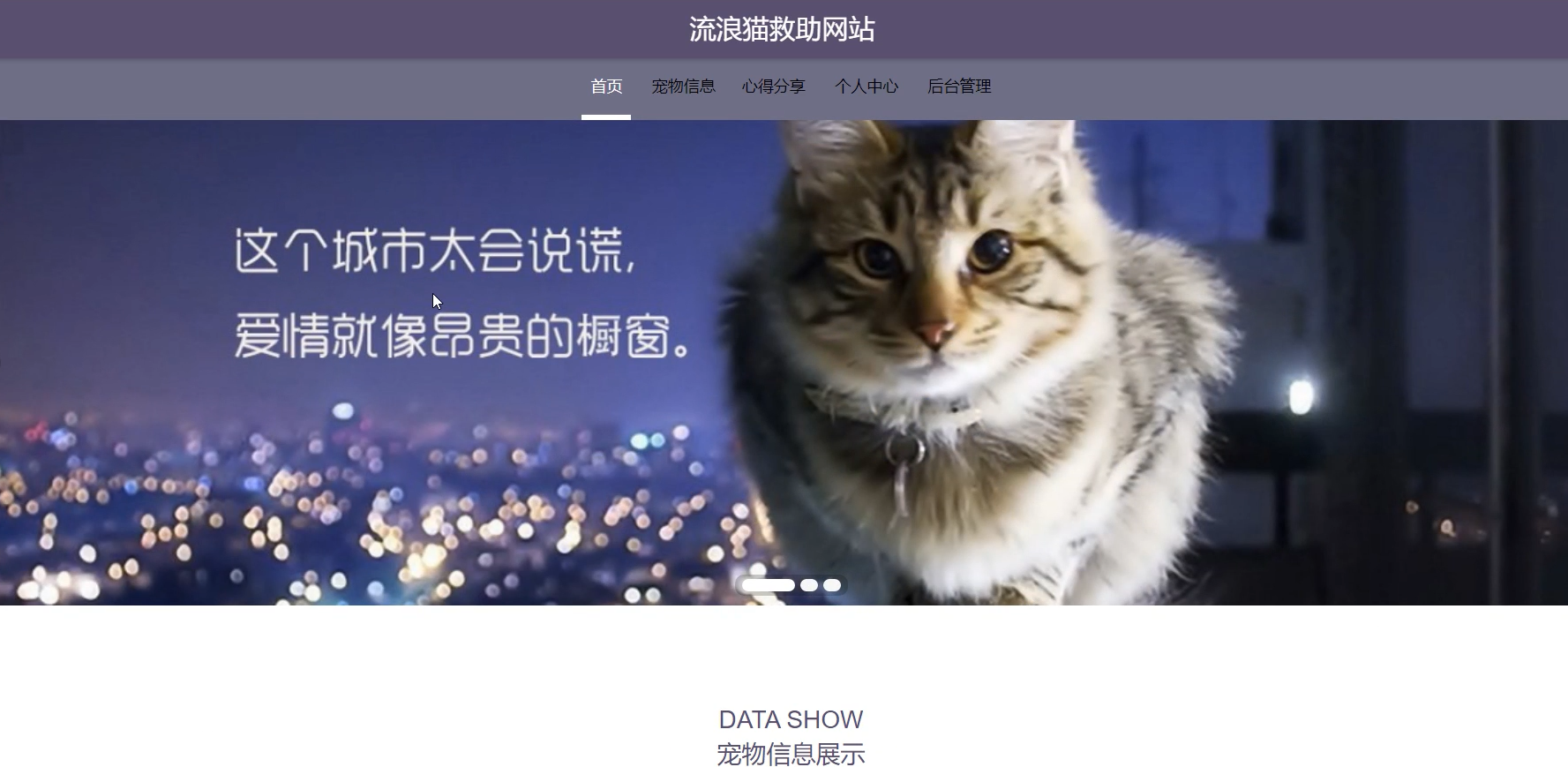 Springboot计算机毕业设计流浪猫救助网站74b07(程序源码数据库调试部署开发环境)带论文文档1万字以上,文末可获取,系统界面在最后面。 Csdn博客