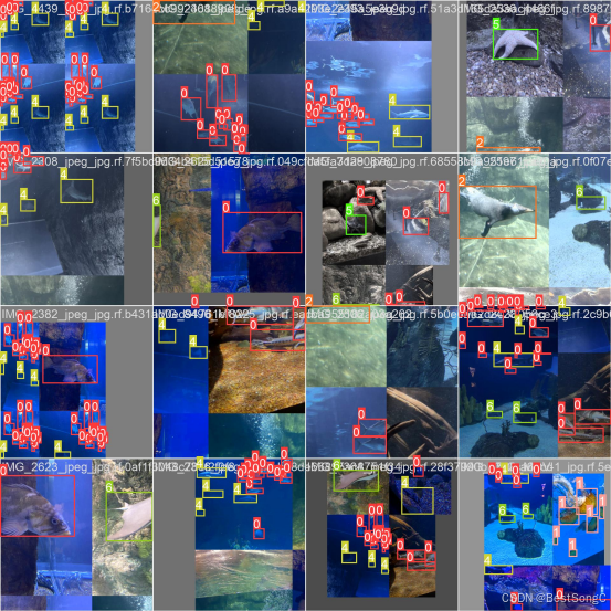 基于yolov8模型的水下目标检测系统(pytorchpyside6yolov8模型)yolov8水下目标检测 Csdn博客