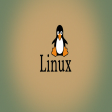 Linux —— 搭建Apache服务器_apache linux-CSDN博客