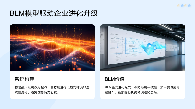 企业长存的密码：构建不断进化的组织系统——BLM咨询剖析-CSDN博客