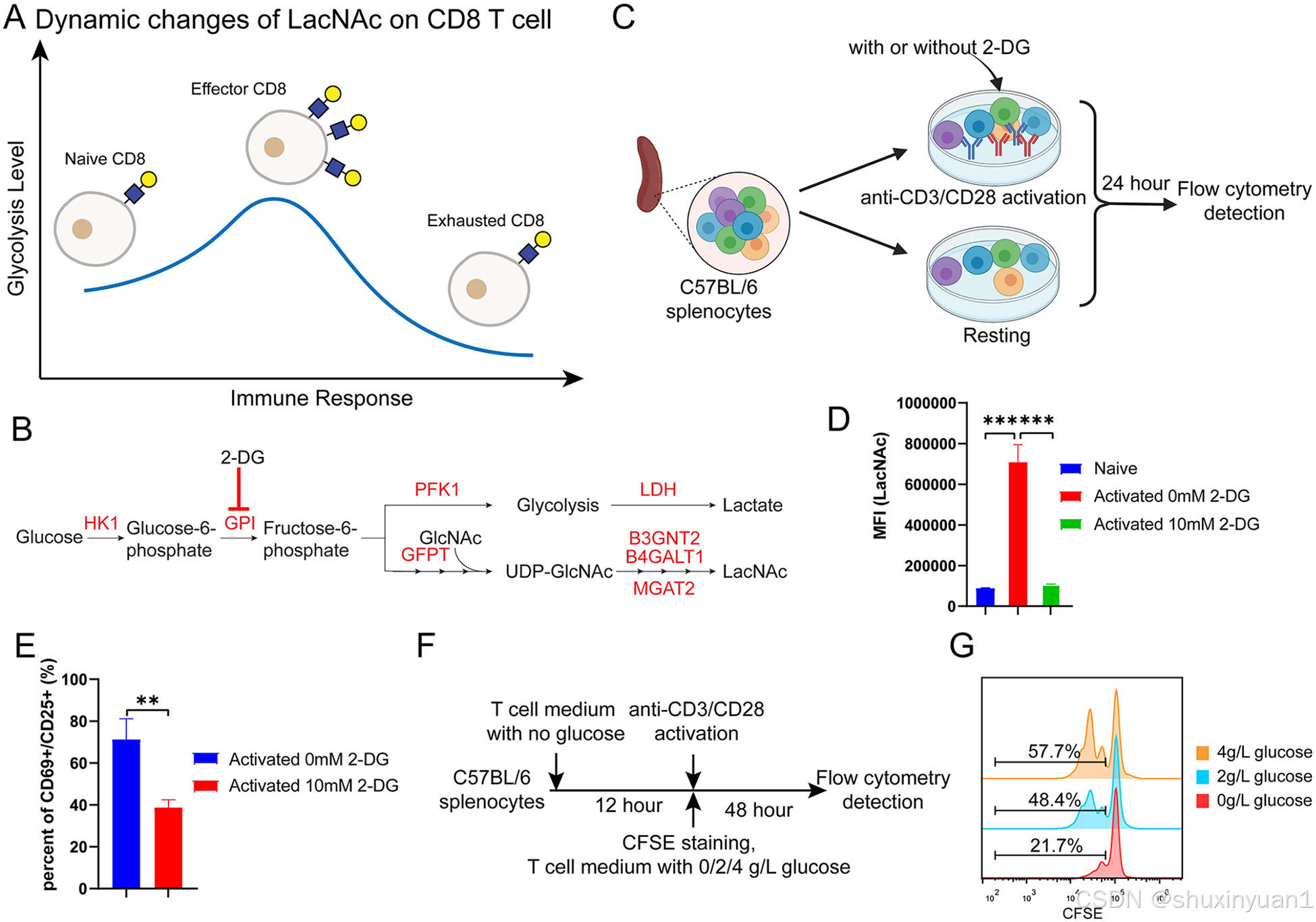 单细胞水平检测N-乙酰乳糖胺(LacNAc)的新型化学酶法与生信-CSDN博客