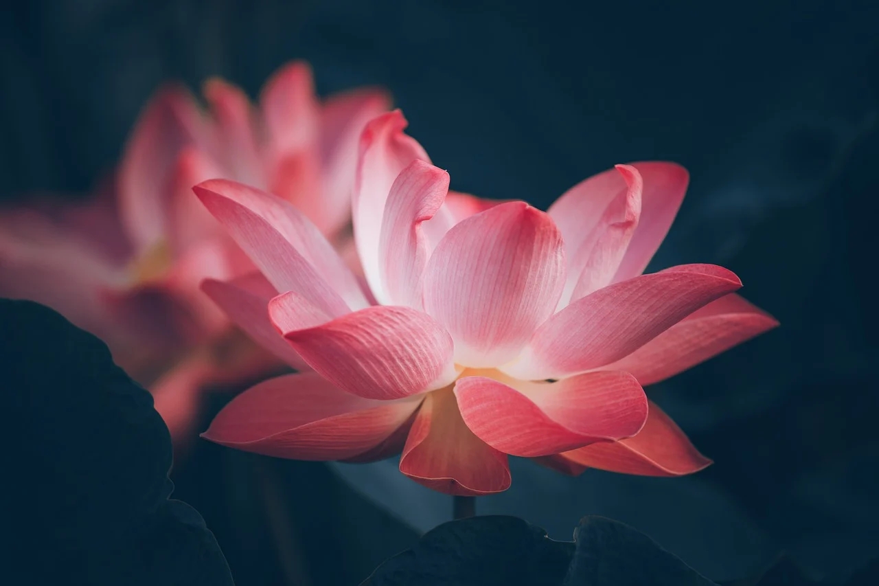 解决BugTrap.dll缺失问题：深入探讨导致问题的原因及详细的解决策略-CSDN博客