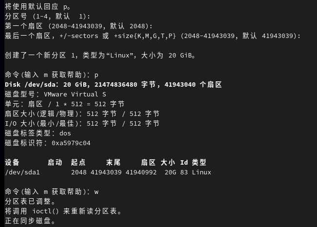 在Linux系统中进行新磁盘分区操作并进行ext4格式化 最后用mount指令挂载分区并创建文件_mkfs.ext4格式化步骤-CSDN博客