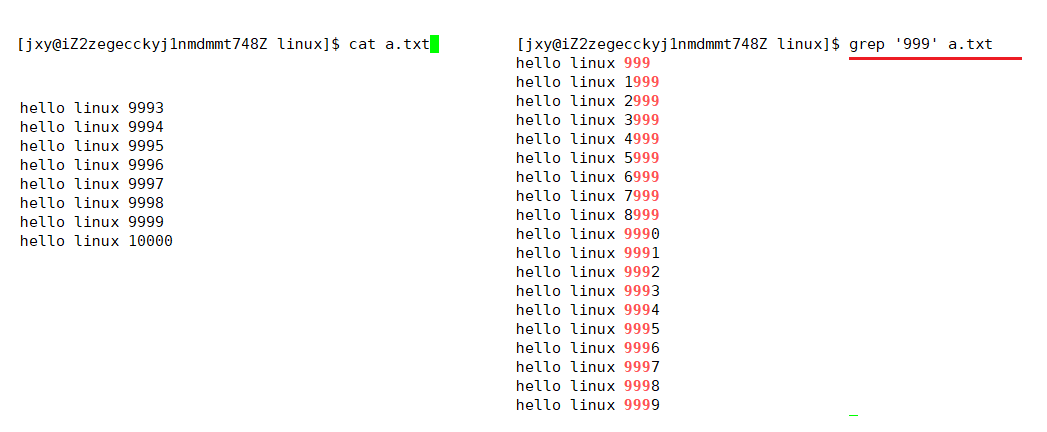 Linux——指令基础（二）-CSDN博客