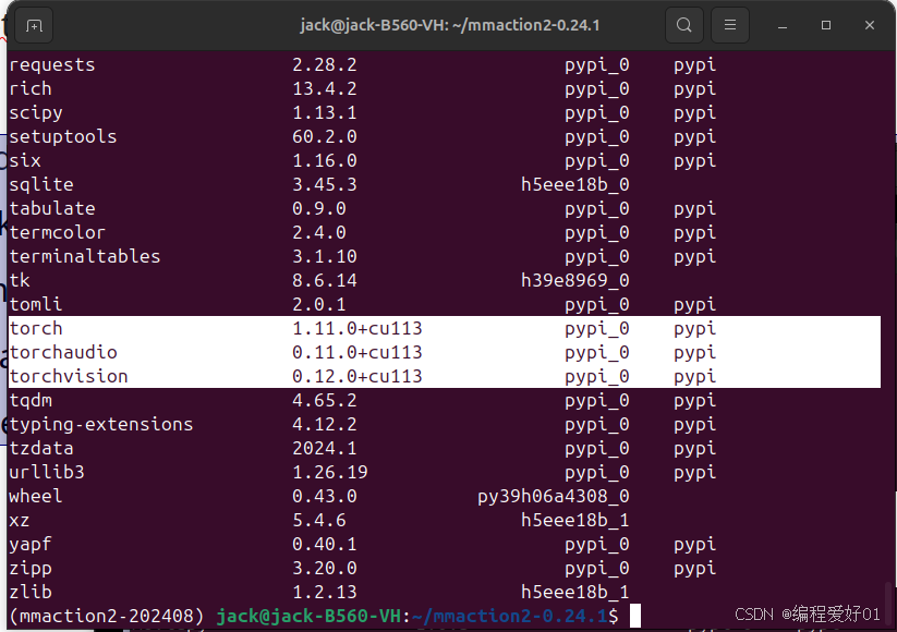 mmaction2实现slowfast DEMO的流程V1.0_mmaction2运行-CSDN博客