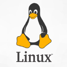 【linux】网络套接字编程（四）TCP服务器与客户端的实现（单进程/单线程的TCP服务器），setsockopt，listen，accept，telnet，connect，inet_pton ...