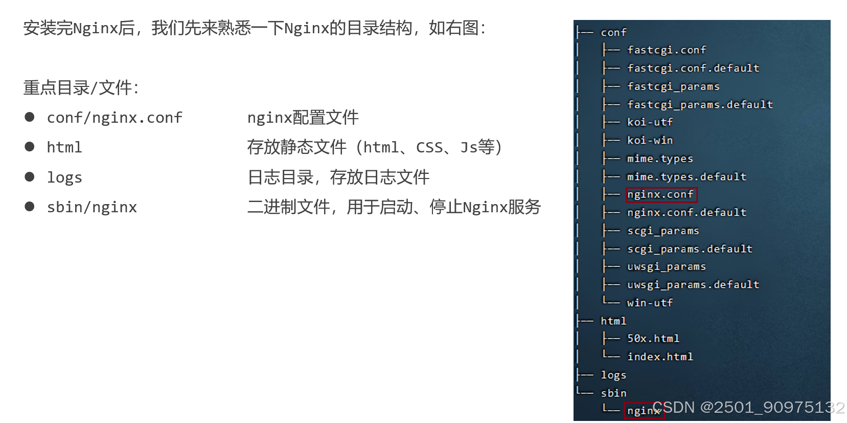 Nginx入门——学习笔记nginx启动命令和停止命令 Csdn博客
