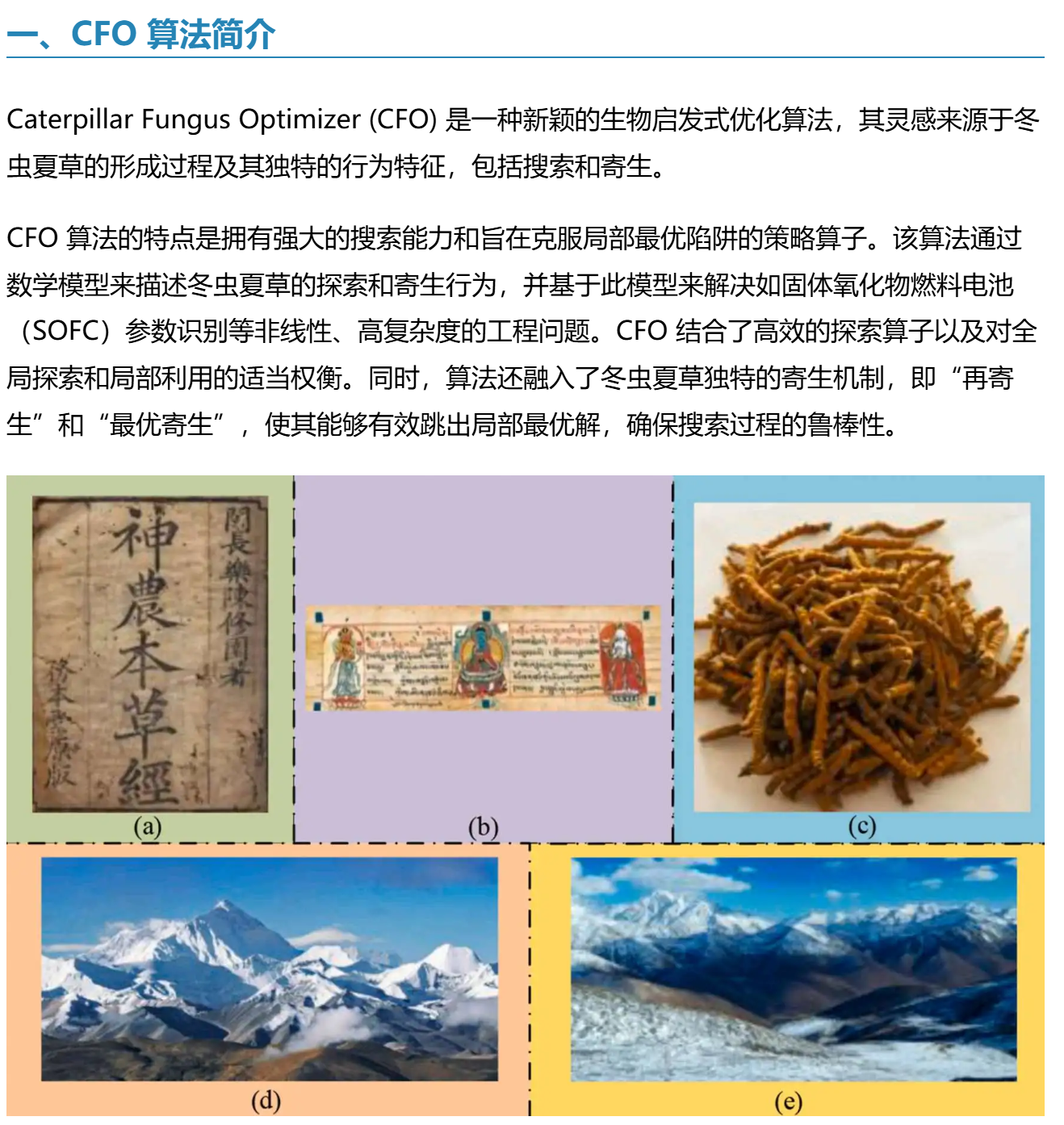冬虫夏草优化算法(CFO)-2025年7月SCI一区新算法-公式原理详解与性能测评 Matlab代码免费获取-CSDN博客