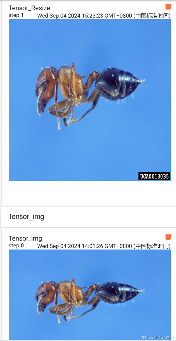 【自用】【小土堆】PyTorch深度学习快速入门教程_小土堆pytorch-CSDN博客