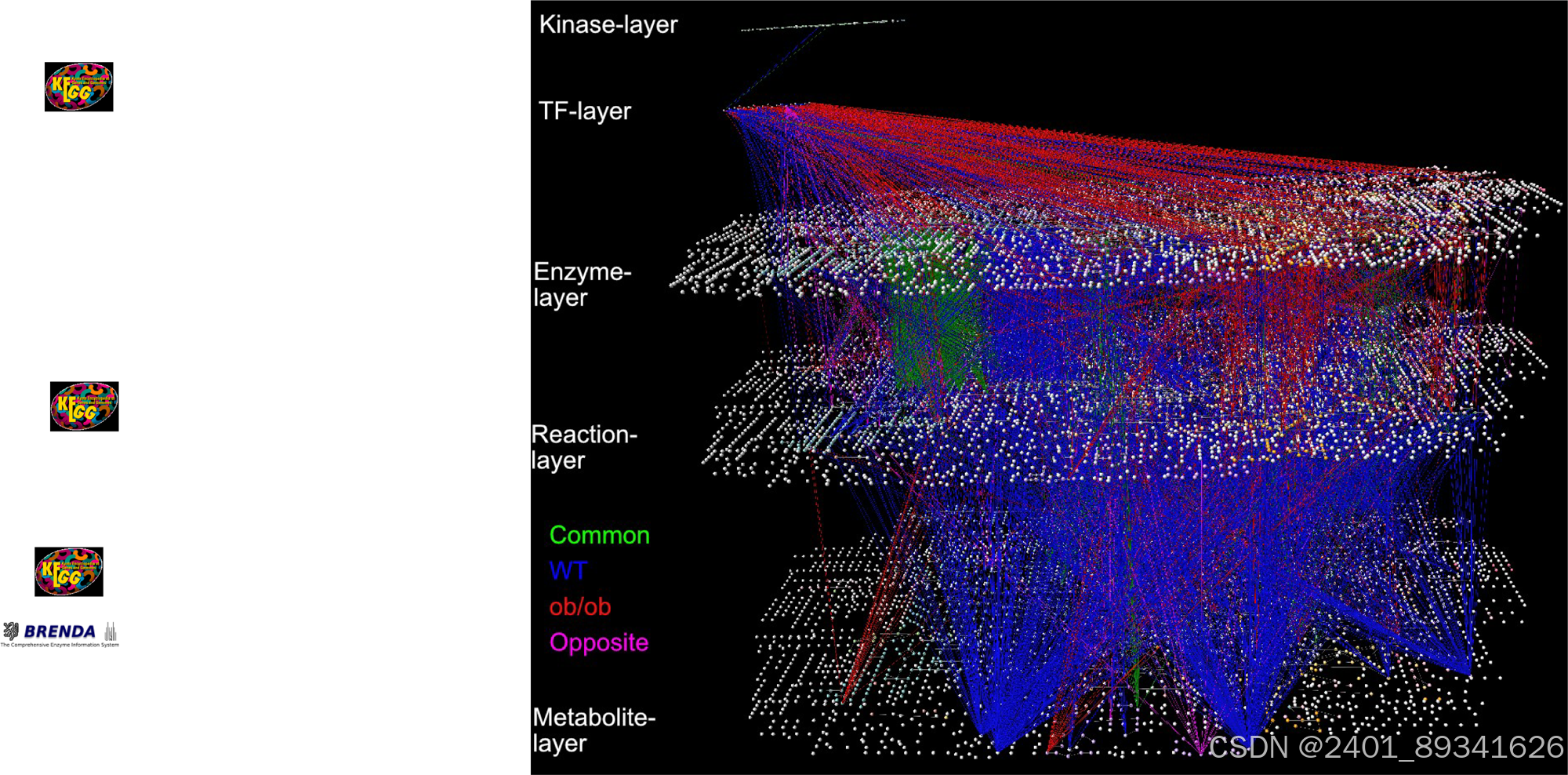 “transomics2cytoscape“：一个用于自动化和可解释的2.5维跨分子组网络可视化的R Bioconductor包-CSDN博客