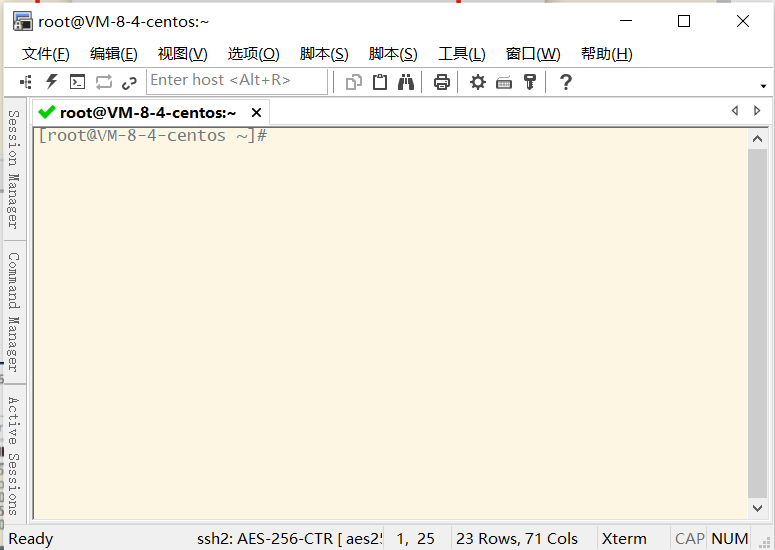 终端SSH连接工具SecureCRT安装和连接Linux_securecrt 9.5-CSDN博客