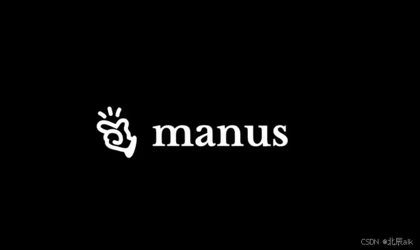 Manus深度探索：实现原理、模型架构与智能体分析_manus实现原理-CSDN博客