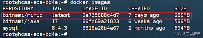 Java上传并解码视频文件至minio，加自动截取视频封面_minio获取视频封面-CSDN博客