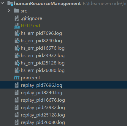 idea中SpringBoot项目中与src和pom.xml同级的文件是什么？-CSDN博客