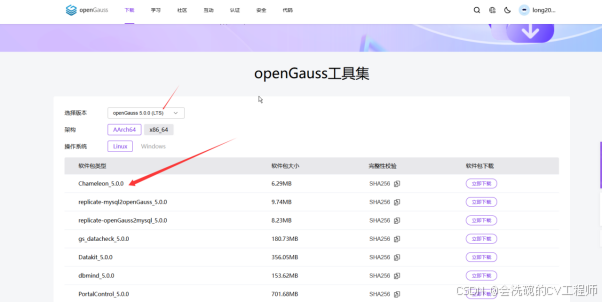 MySQL到openGauss数据迁移实用教程_mysql迁移opengauss-CSDN博客
