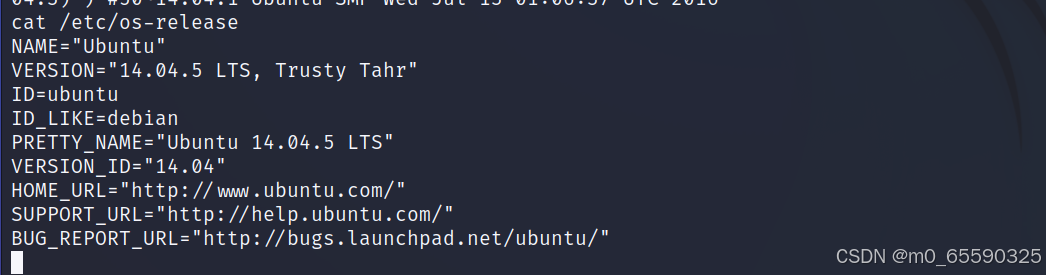 实训Day10 Linux提权_linux提权实验-CSDN博客