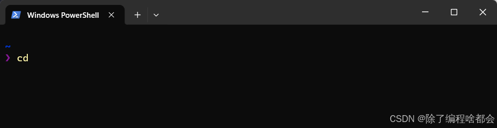 starship配置教程,实现定制化终端主题-CSDN博客