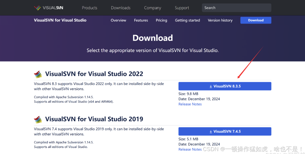 Visual Studio 2022安装SVN插件及汉化教程_vs2022 svn-CSDN博客