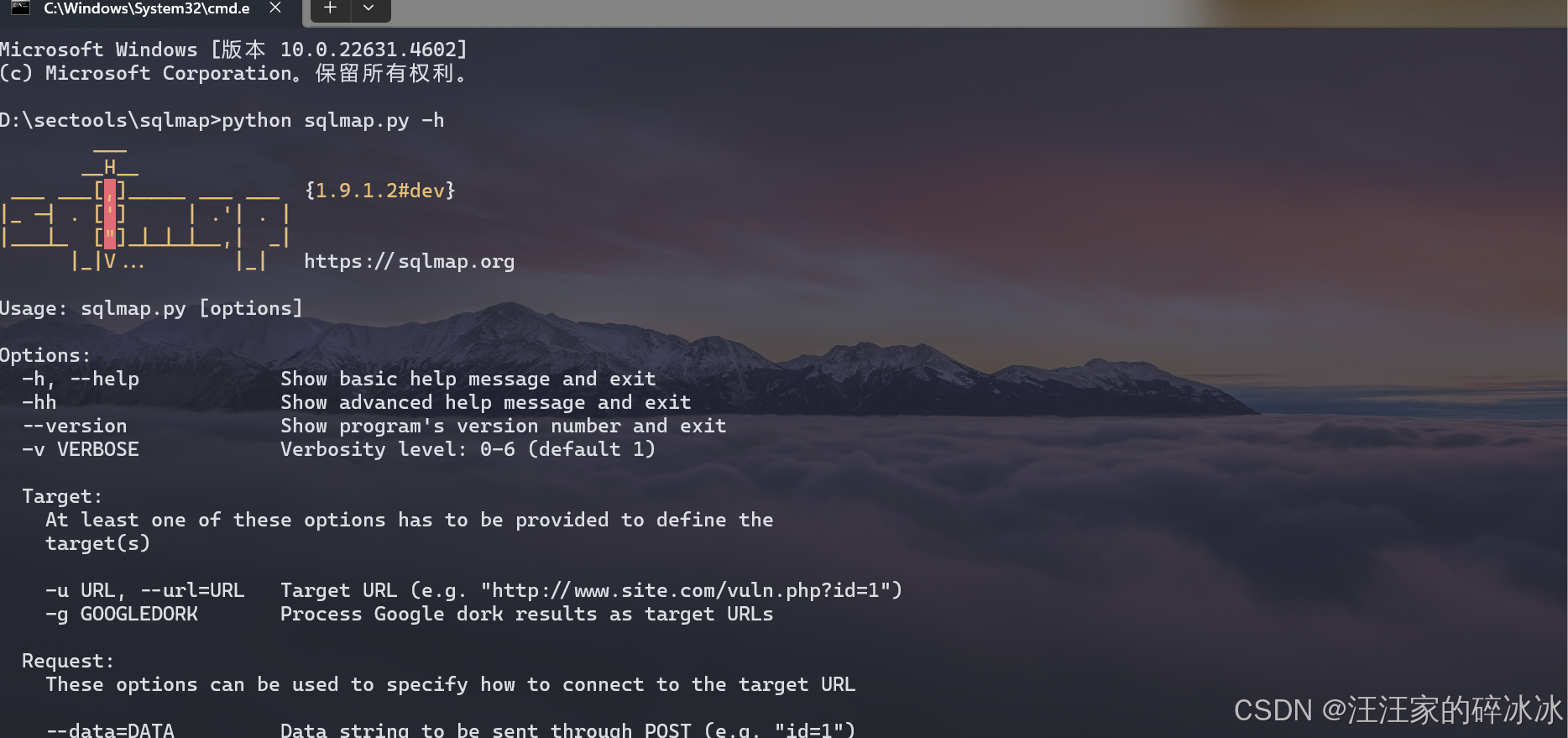 【网络安全】sqlmap安装使用教程sqlmap安装教程 Csdn博客 2317