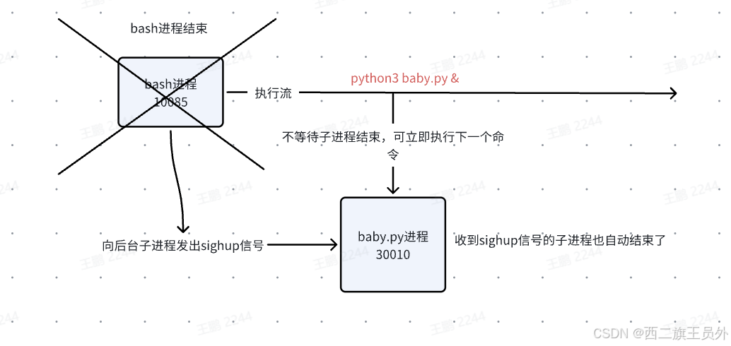 shell编程基础（利用nohup与&，在后台持续运行进程）_shell 中&后台运行-CSDN博客