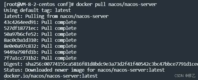 docker容器单机部署nacos_docker部署nacos单点-CSDN博客