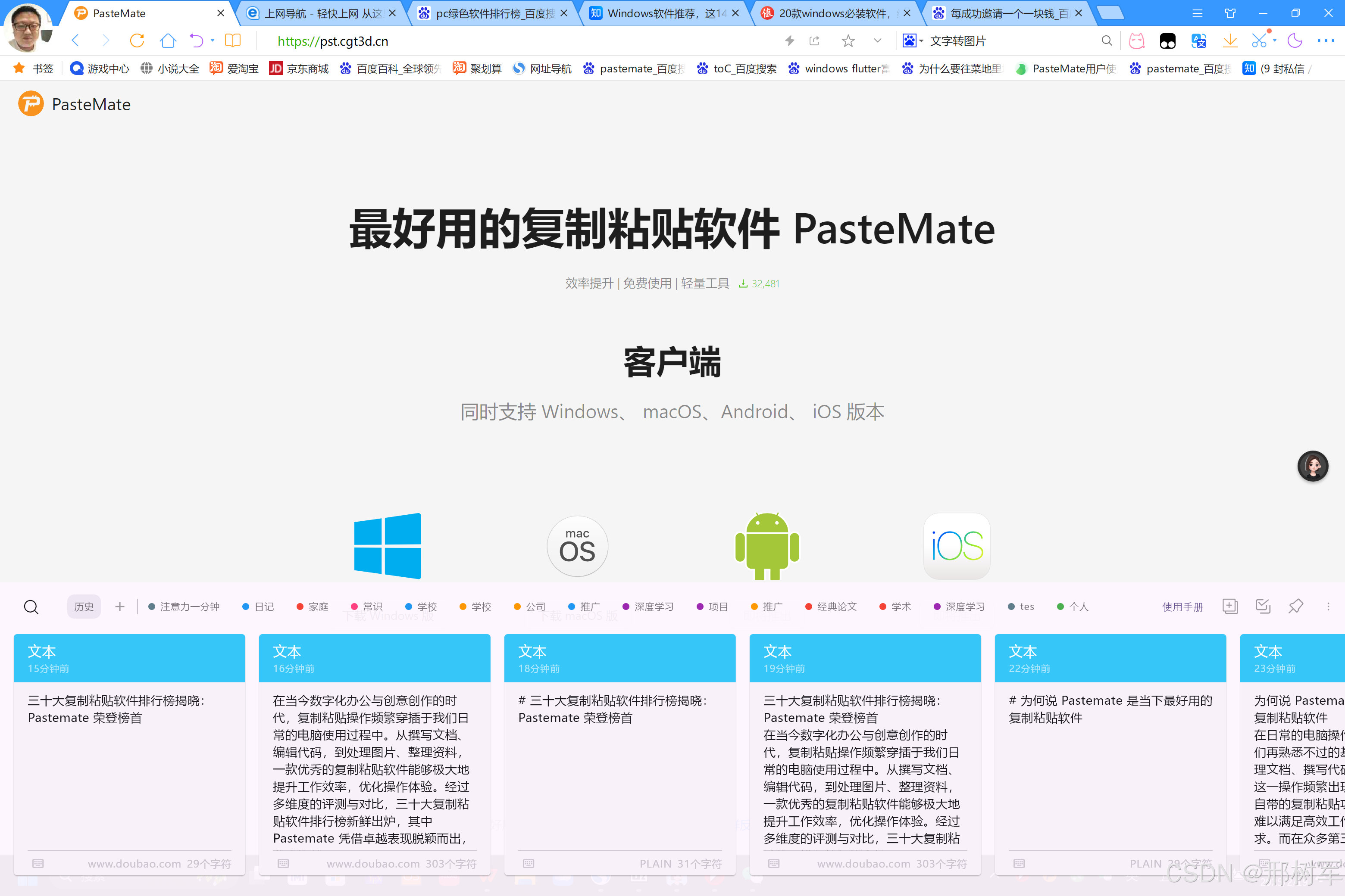 PasteMate：界面精美的复制粘贴神器-CSDN博客