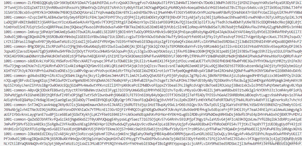 海外 token 1001-common-CSDN博客
