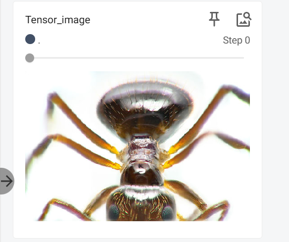 Transforms的结构和用法-CSDN博客