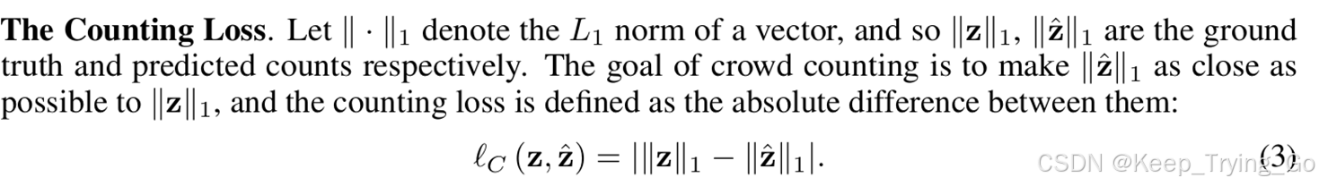 论文Distribution Matching for Crowd Counting详解-CSDN博客