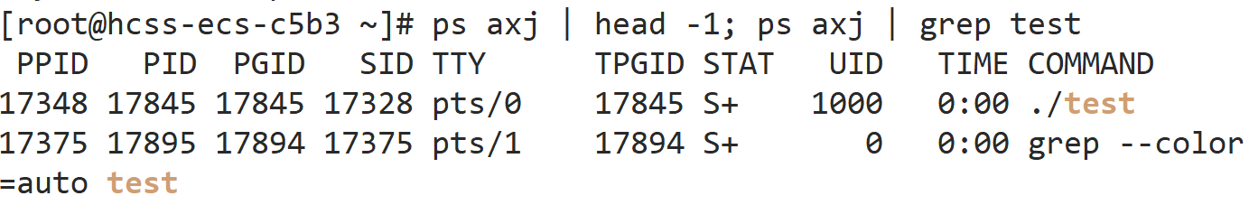 【Linux】进程（2）PCB、task_struct、fork初识-CSDN博客