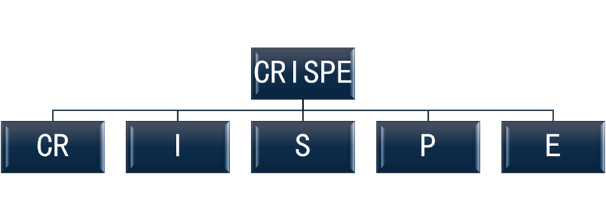 如何撰写结构化 Prompt：CRISPE框架＋多种推理策略-CSDN博客