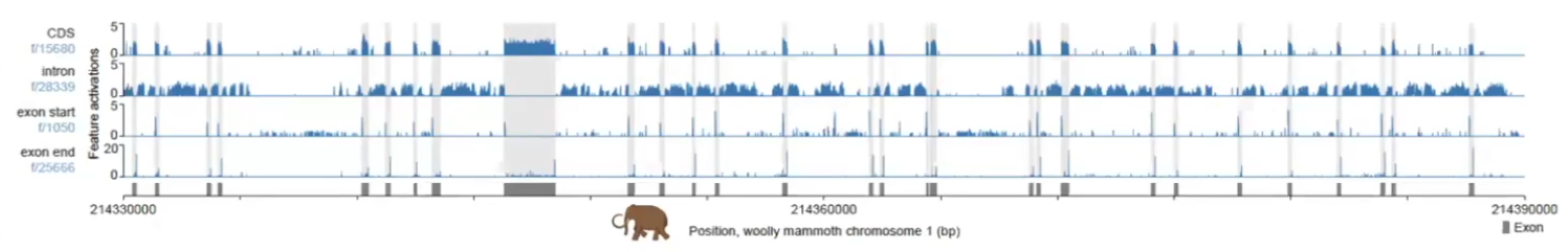 Evo2 论文讲解_基因 模型 evo2-CSDN博客