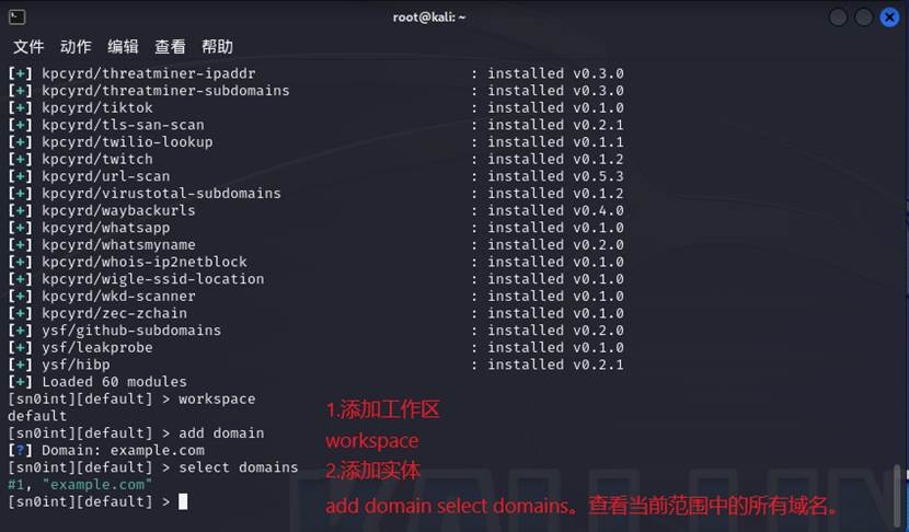 Kali Linux 被动扫描_kali maltego-CSDN博客