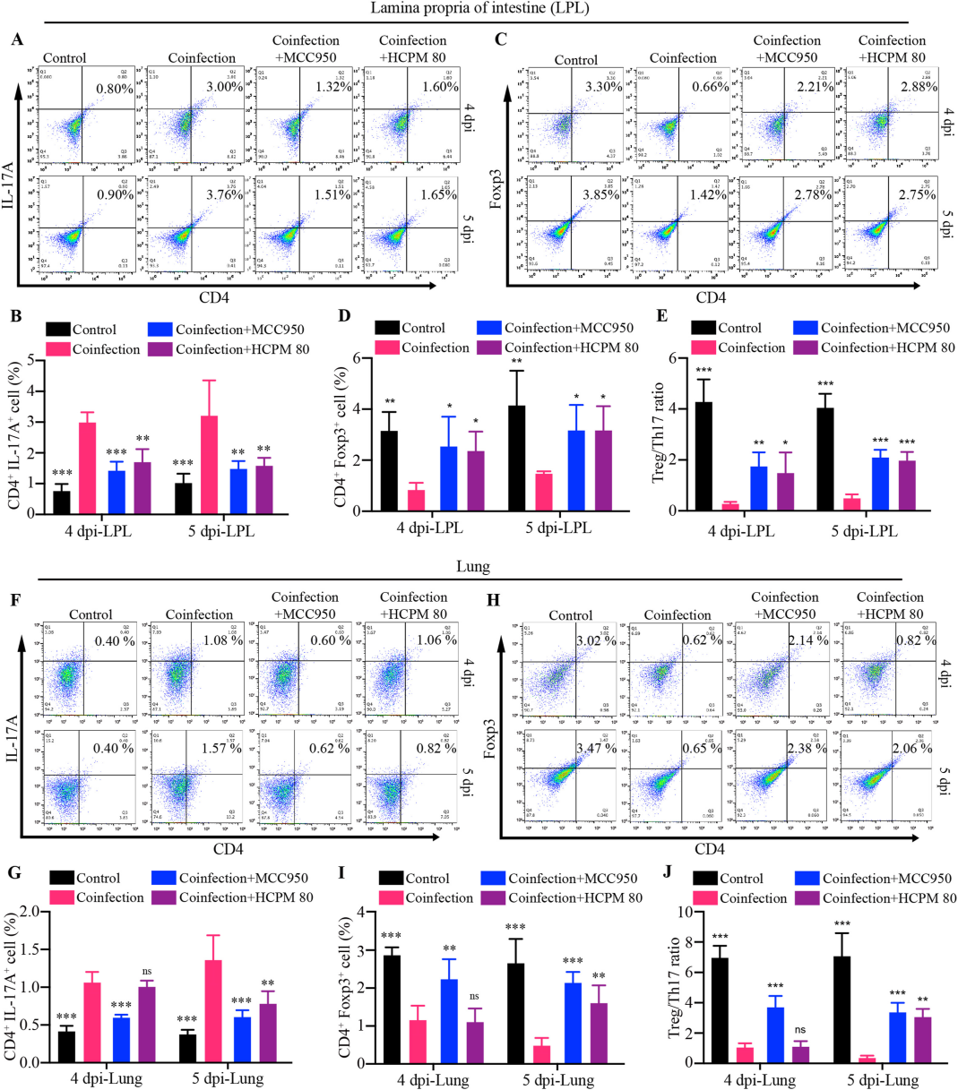AbMole小课堂 | MCC950—用于多种炎症模型研究的NLRP3/焦亡抑制剂_mcc950与nlrp3的结合位点-CSDN博客