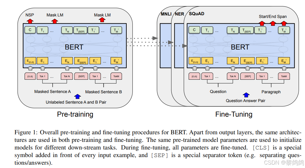 【基础模型】BERT架构_bert的基础模型是什么-CSDN博客