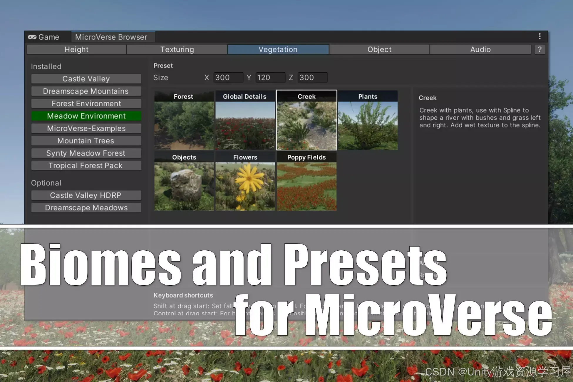【Unity 环境扩展插件】Biomes and Presets for MicroVerse 快速构建逼真的自然场景_unity microverse-CSDN博客