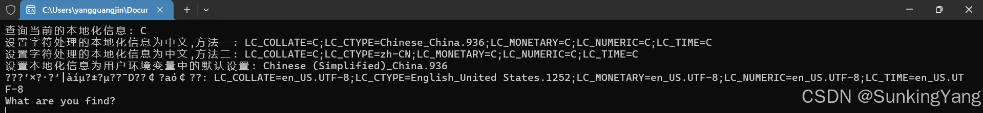 C 语言库函数 - setlocale()使用说明及demo示例-CSDN博客