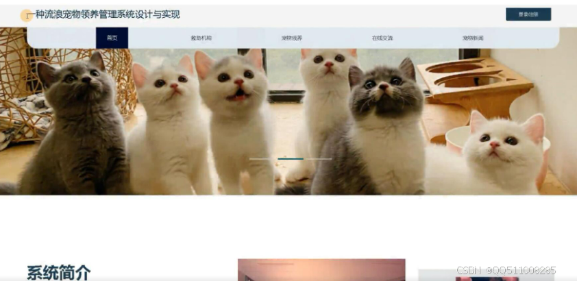 python+java+nodejs基于vue的流浪宠物领养管理系统-计算机毕业设计-CSDN博客